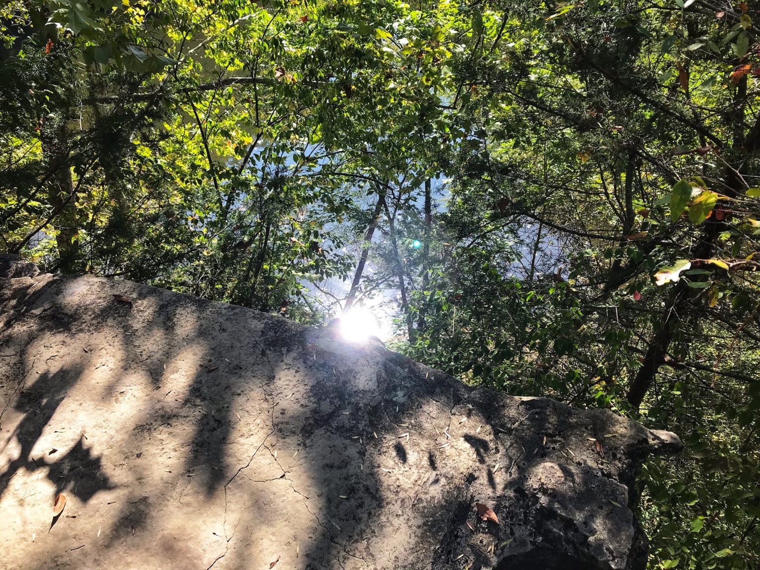 Hidden Lake + Loop at Harpeth River State Park – Joanne Merriam